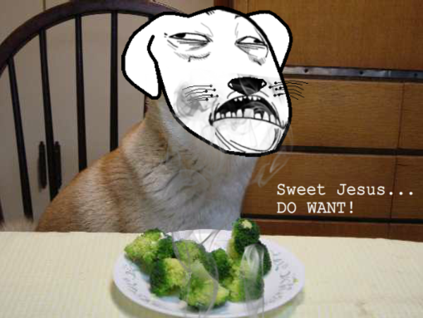 [Image - 198286] | Broccoli Dog | Know Your Meme