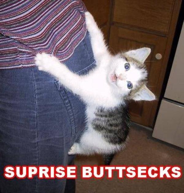 [Image - 199952] | Surprise Buttsecks | Know Your Meme