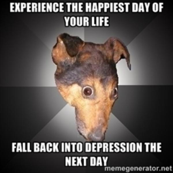 [Image - 201221] | Depression Dog | Know Your Meme