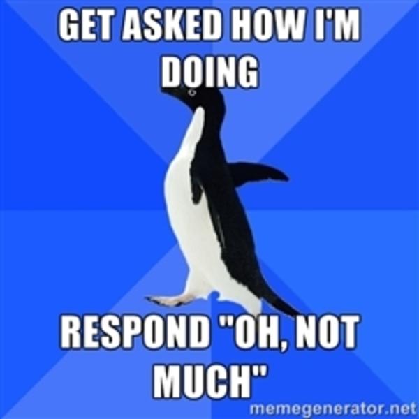 [Image - 201240] | Socially Awkward Penguin | Know Your Meme