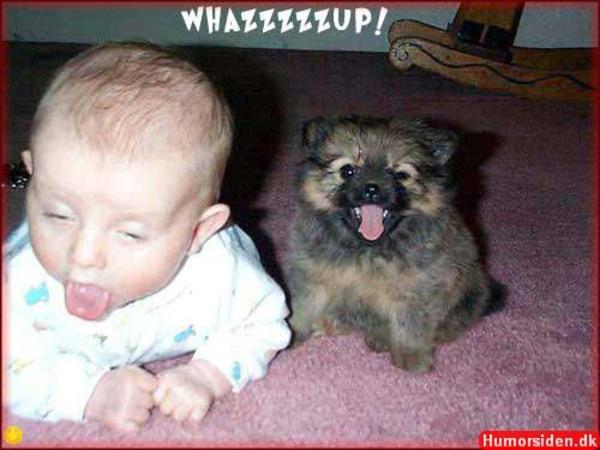 [Image - 203459] | Whassup? | Know Your Meme