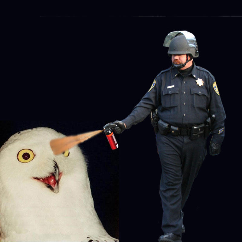 [Image - 203595] | Casually Pepper Spray Everything Cop | Know Your Meme