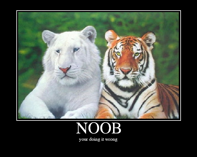 [Image - 205875] | Noob | Know Your Meme