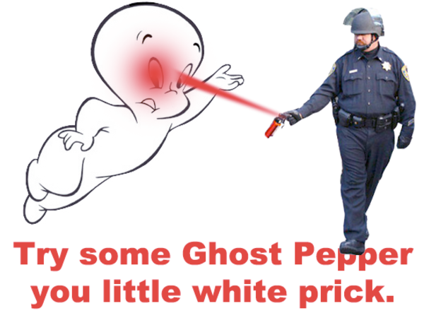 [Image - 205956] | Casually Pepper Spray Everything Cop | Know Your Meme