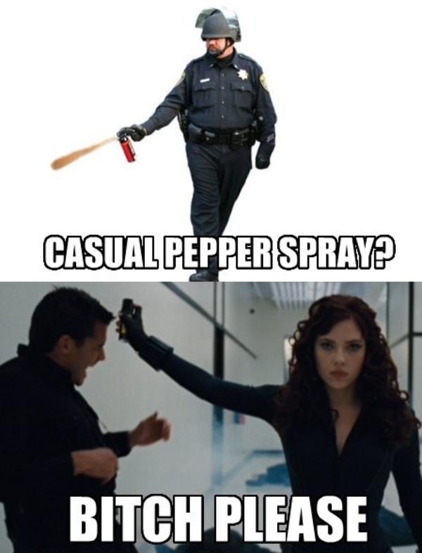 [Image - 206504] | Casually Pepper Spray Everything Cop | Know Your Meme