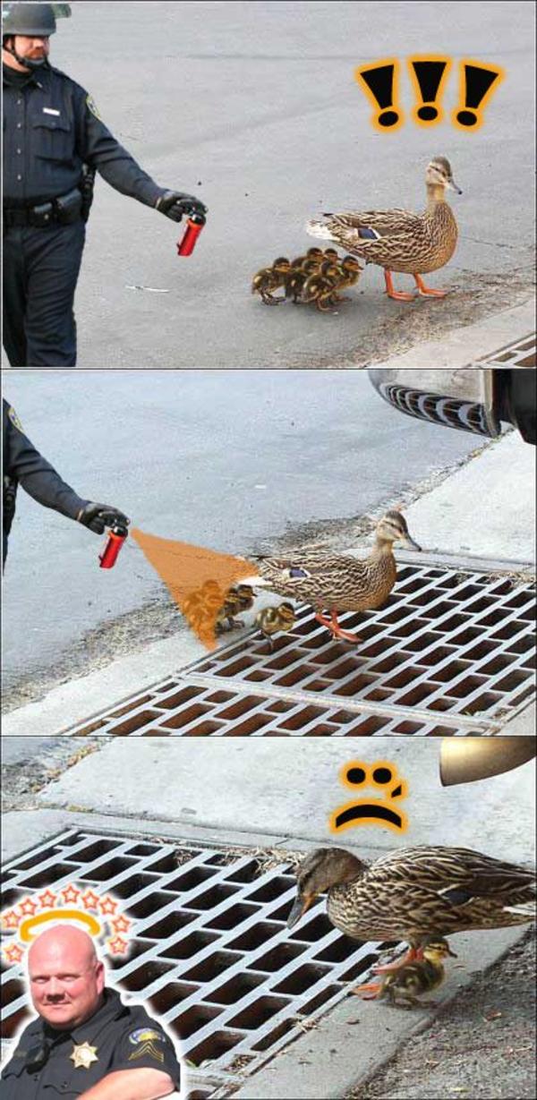 [Image - 206544] | Casually Pepper Spray Everything Cop | Know Your Meme