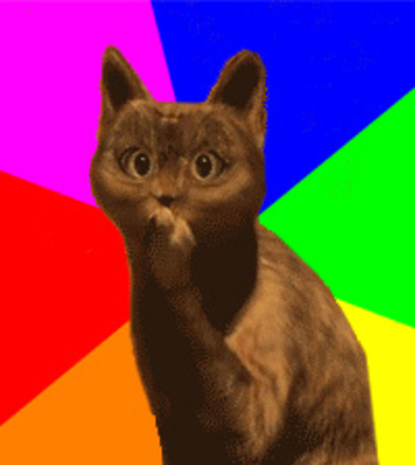[Image - 206620] | Ooh Cat | Know Your Meme