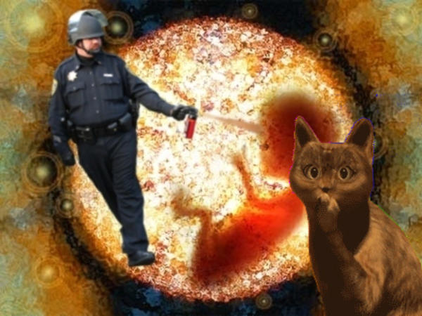 [Image - 206834] | Ooh Cat | Know Your Meme