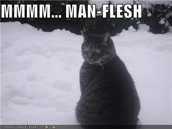 [Image - 208254] | Manflesh | Know Your Meme