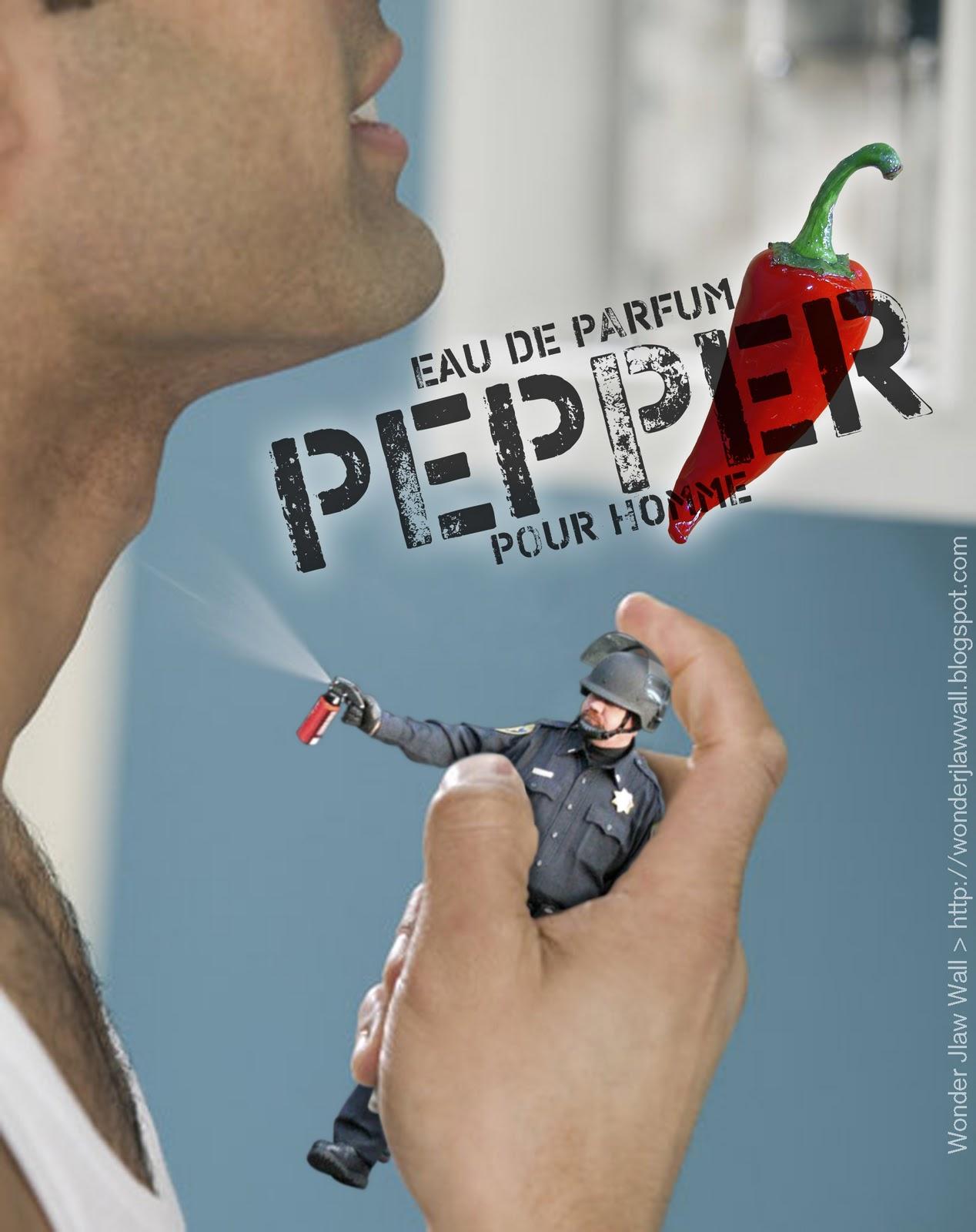 [Image - 208903] | Casually Pepper Spray Everything Cop | Know Your Meme