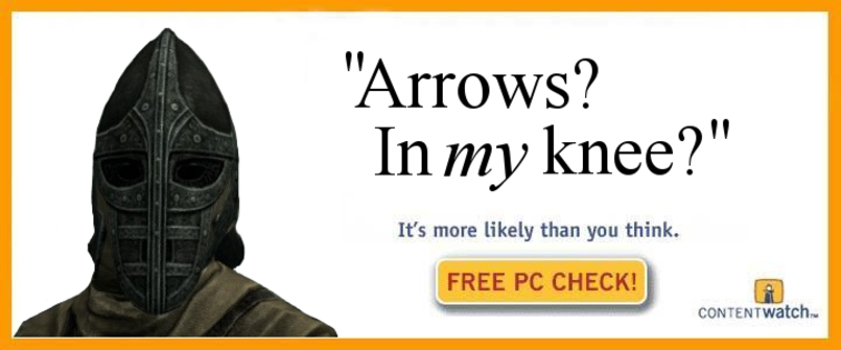 Arrows? In my knee? | I Took an Arrow in the Knee | Know Your Meme