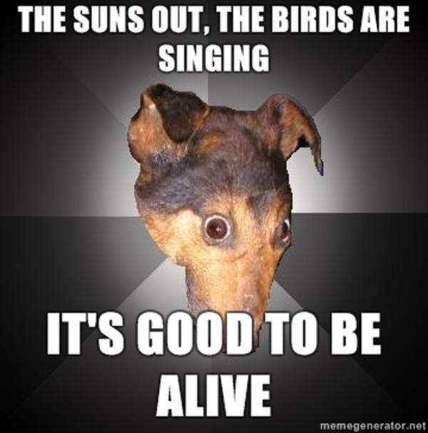 [Image - 217708] | Reverse Memes | Know Your Meme