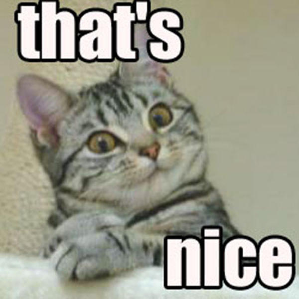 that's nice | LOLcats | Know Your Meme