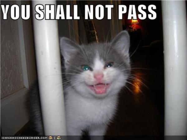 [Image - 222579] | You Shall Not Pass!!! | Know Your Meme
