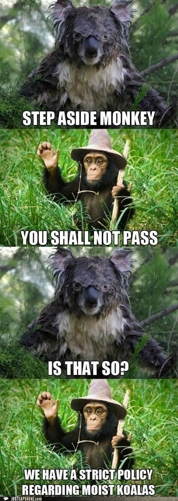 [Image - 222581] | You Shall Not Pass!!! | Know Your Meme