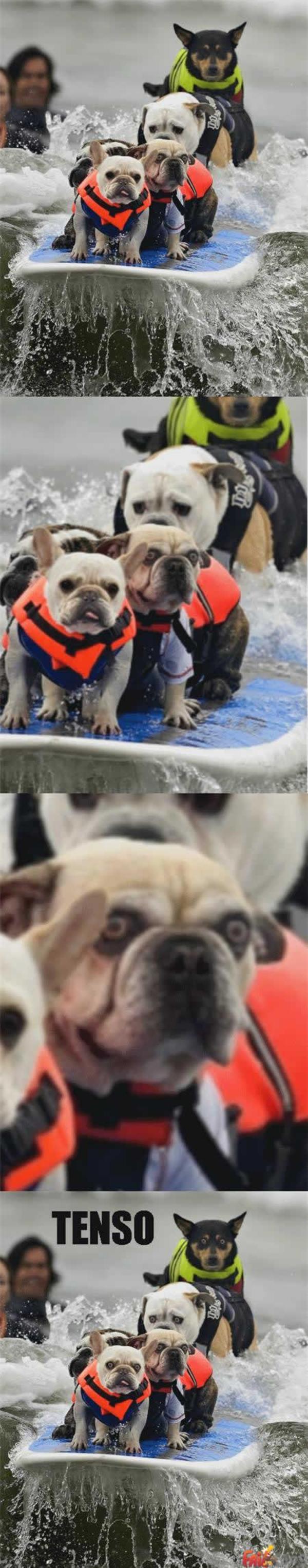 [Image - 223558] | Tenso | Know Your Meme