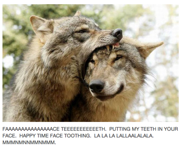 [Image - 224159] | Animals Talking In All Caps | Know Your Meme