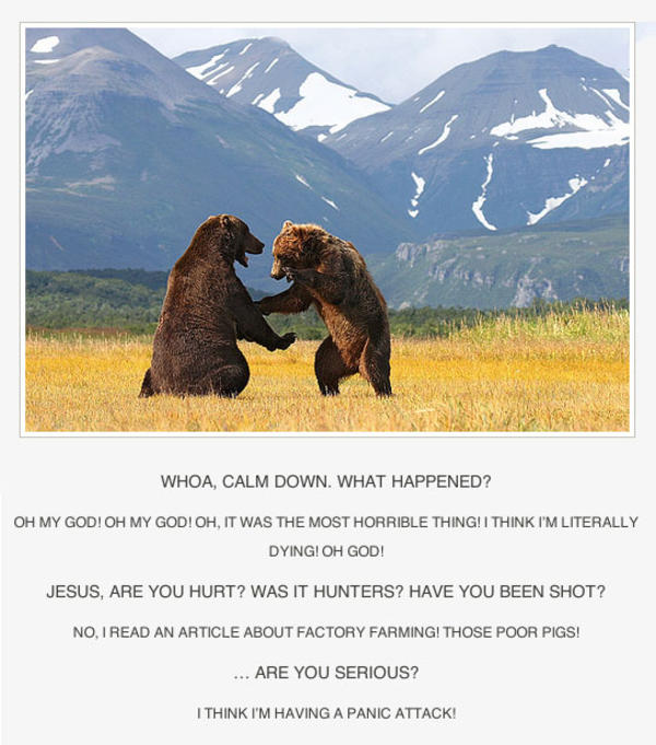 [Image - 224349] | Animals Talking In All Caps | Know Your Meme