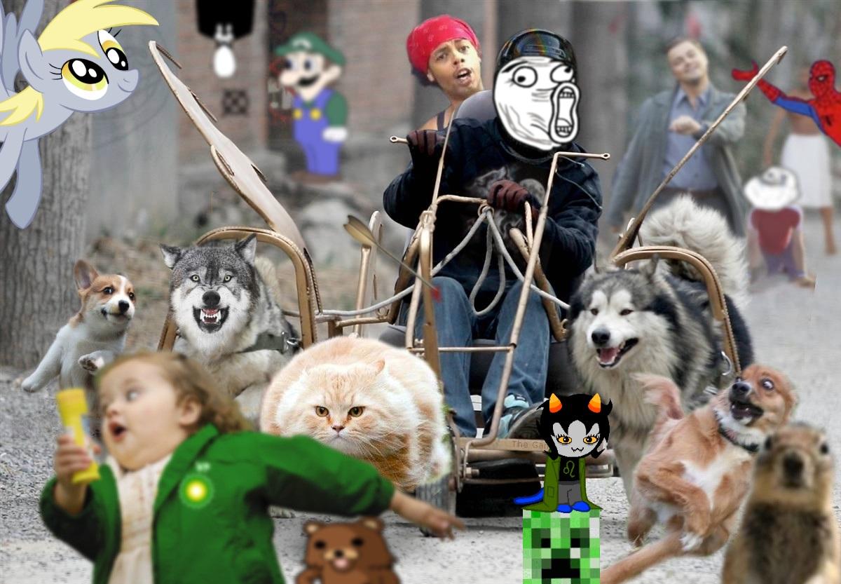 [Image - 225655] | Meme Overload | Know Your Meme