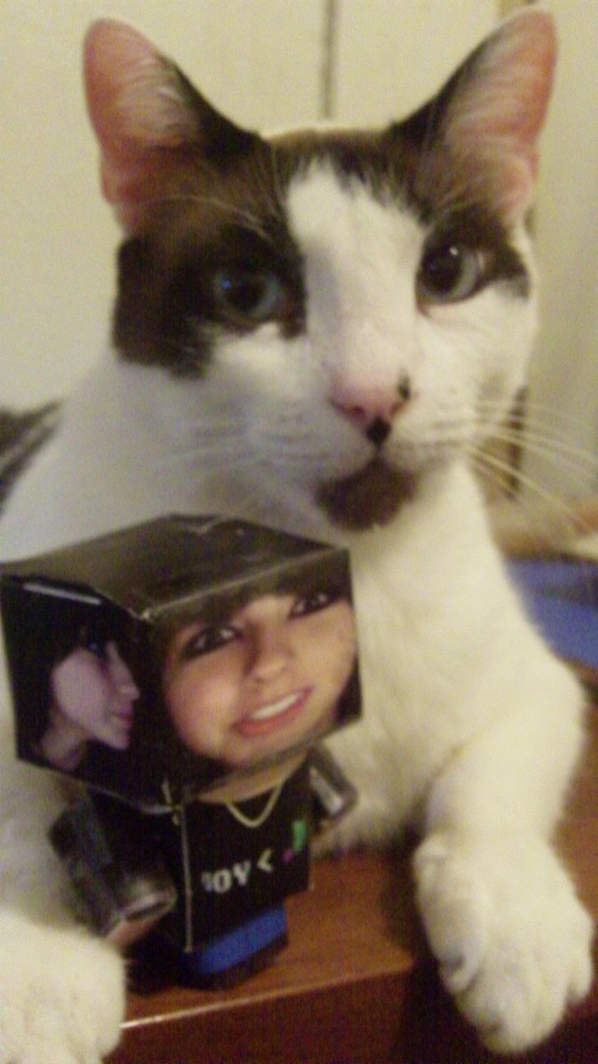 [Image - 225948] | Boxxy | Know Your Meme