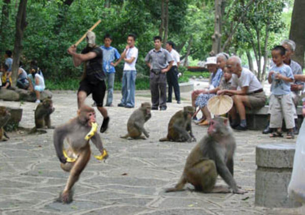 [Image - 226272] | Gasmask Goliath | Know Your Meme