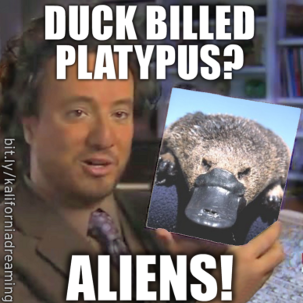 [Image - 227399] | Ancient Aliens | Know Your Meme