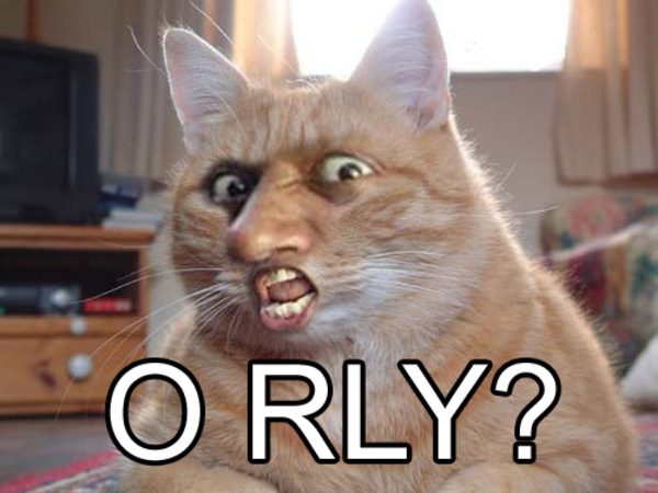 [Image - 229211] | O RLY? | Know Your Meme