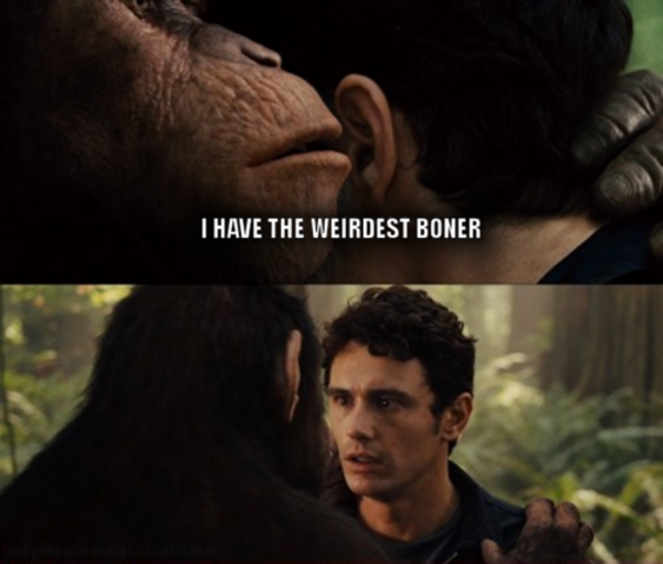 [Image - 230259] | I Have The Weirdest Boner | Know Your Meme