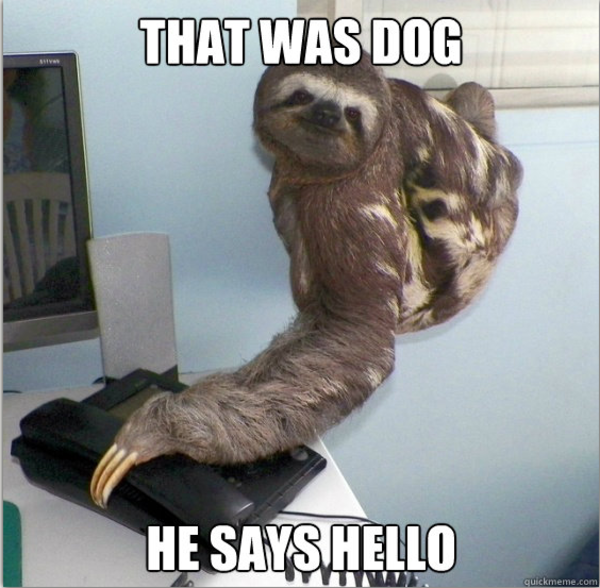 [Image - 231791] | Yes, This is Dog | Know Your Meme