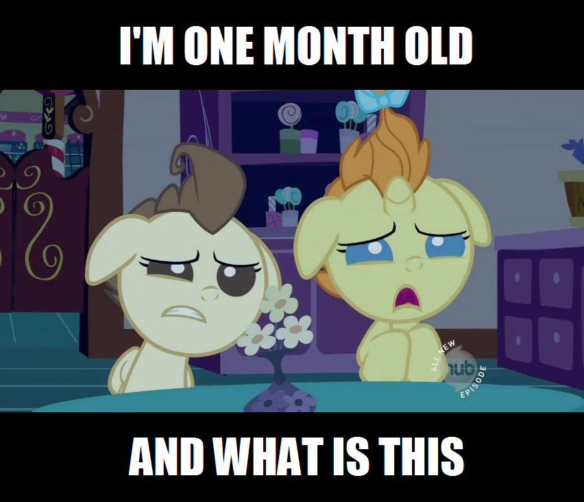 [Image - 233680] | I'm Twelve Years Old and What is This? | Know Your Meme