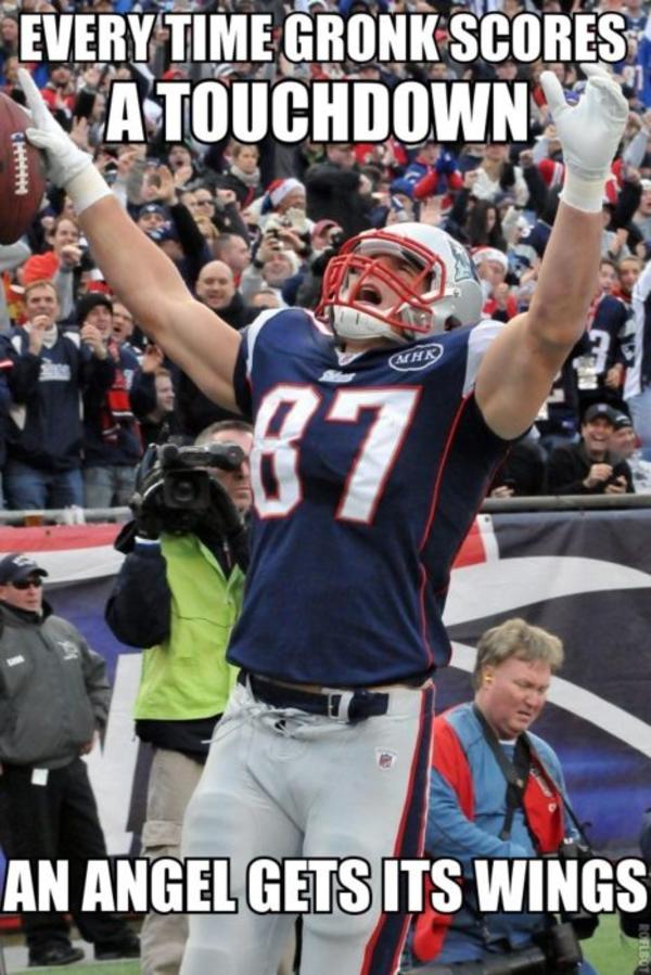 [Image - 235306] | Gronked | Know Your Meme