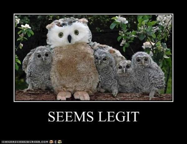 [Image - 236291] | Seems Legit / Sounds Legit | Know Your Meme