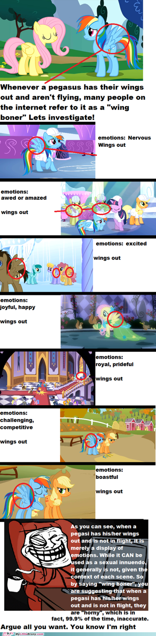 [Image - 236356] | Wingboner & Clopping | Know Your Meme