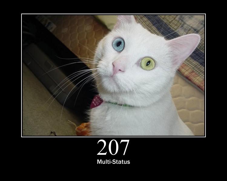 [Image - 236742] | HTTP Status Cats | Know Your Meme