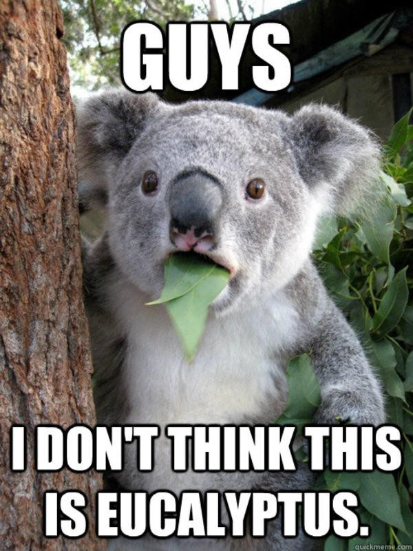 [Image - 237006] | Advice Animals | Know Your Meme