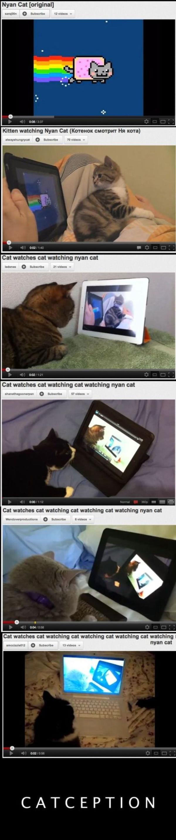 [Image - 238609] | Inception | Know Your Meme