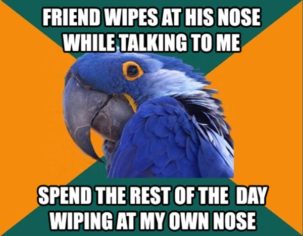 [Image - 239813] | Paranoid Parrot | Know Your Meme
