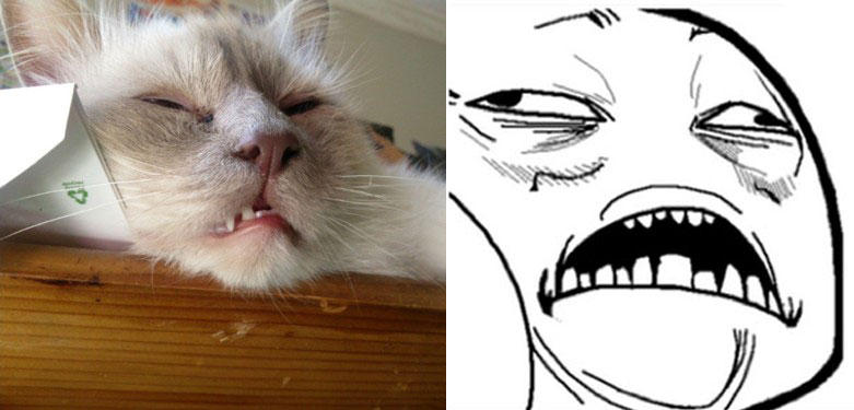 [Image - 240183] | Sweet Jesus Face | Know Your Meme