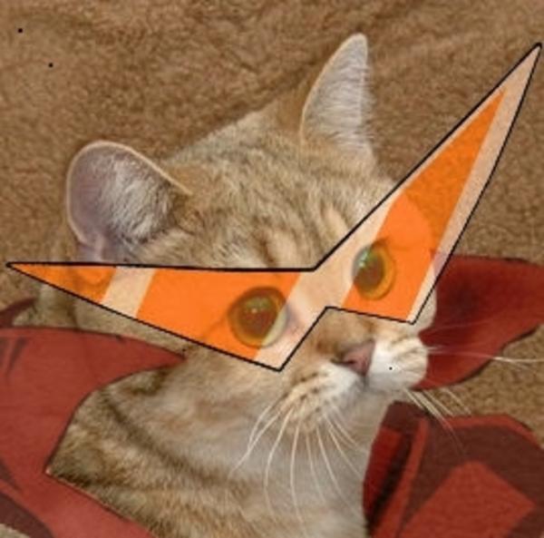 [Image - 240939] | Starecat / Grafics Cat | Know Your Meme