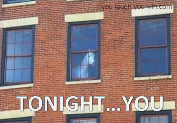 [Image - 243616] | Tonight You | Know Your Meme