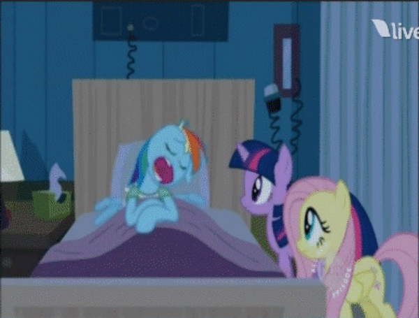 [Image - 244537] | My Little Pony: Friendship is Magic | Know Your Meme