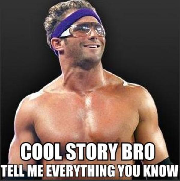 [Image - 248960] | Cool Story, Bro | Know Your Meme