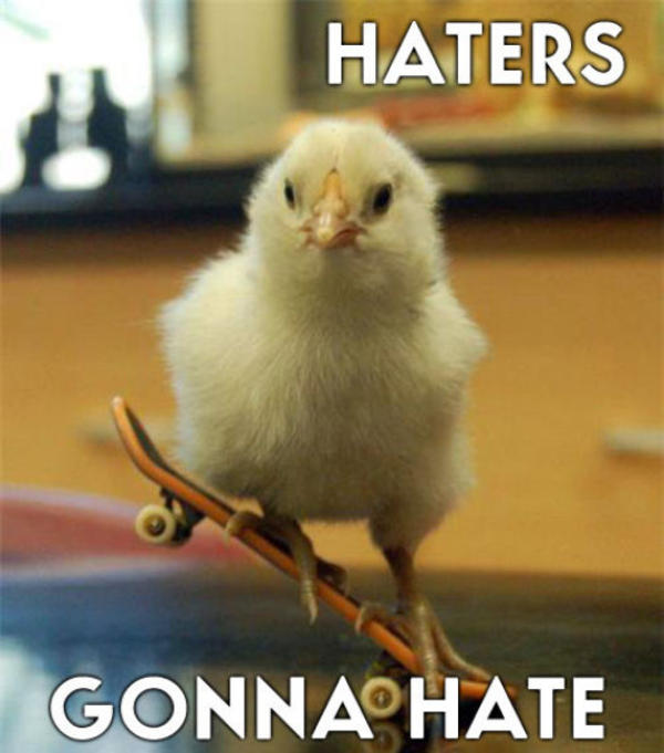 [Image - 249514] | Haters Gonna Hate | Know Your Meme