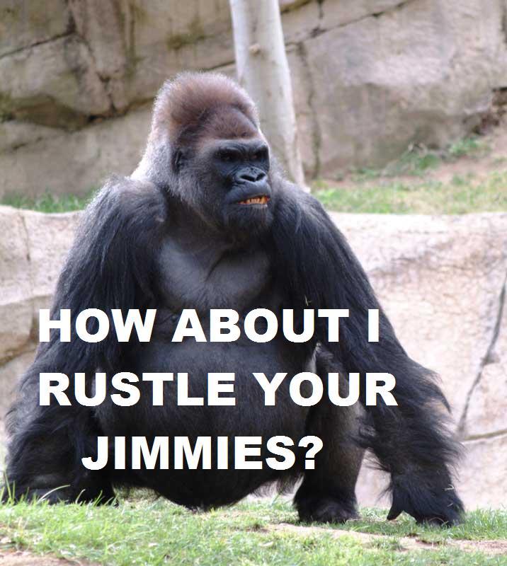 [Image - 249837] | That Really Rustled My Jimmies | Know Your Meme