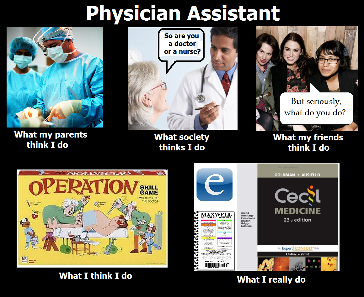 [Image - 251330] | What People Think I Do / What I Really Do | Know ...