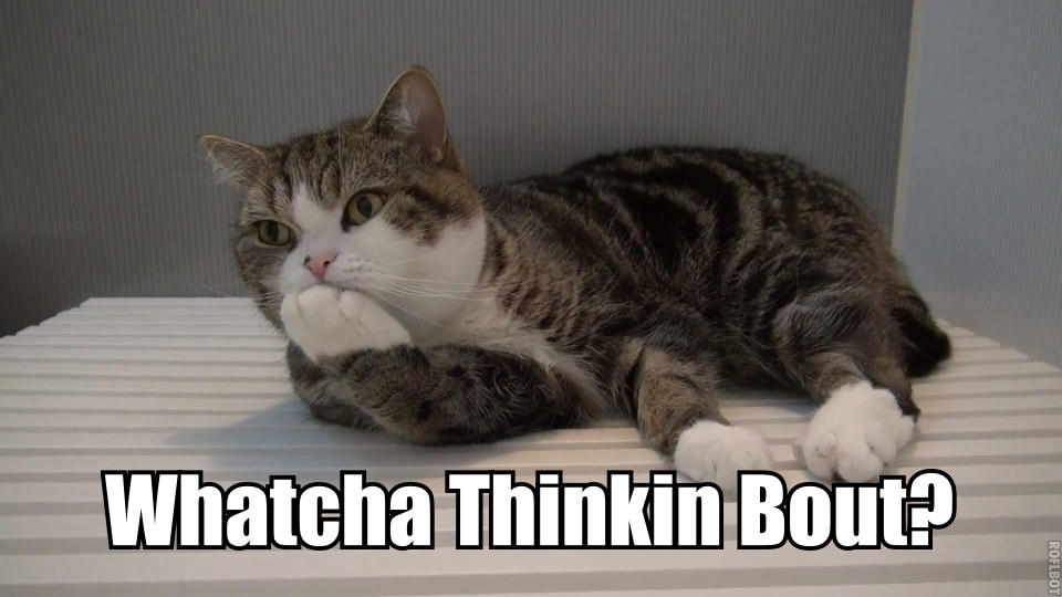 [Image - 252107] | Whatcha Thinkin Bout? | Know Your Meme
