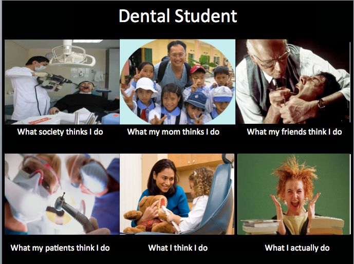 [Image - 252118] | What People Think I Do / What I Really Do | Know ...