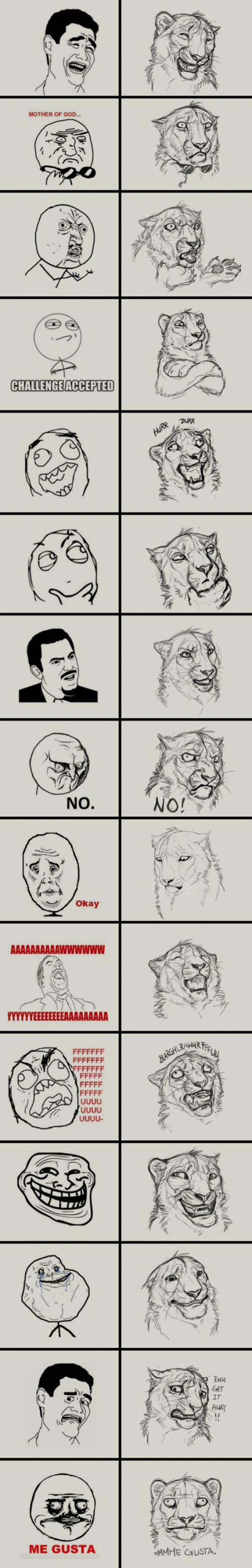 [Image - 252239] | Rage Comics | Know Your Meme