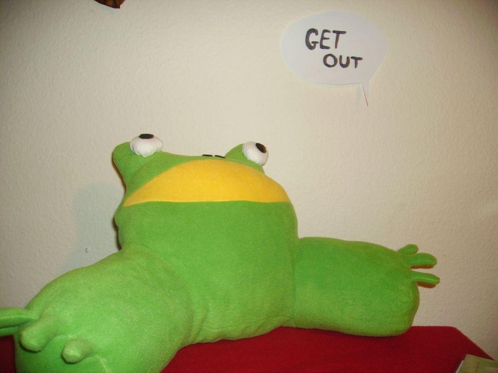 [Image - 255684] | Get Out Frog / Frogout / Me Obrigue | Know Your Meme