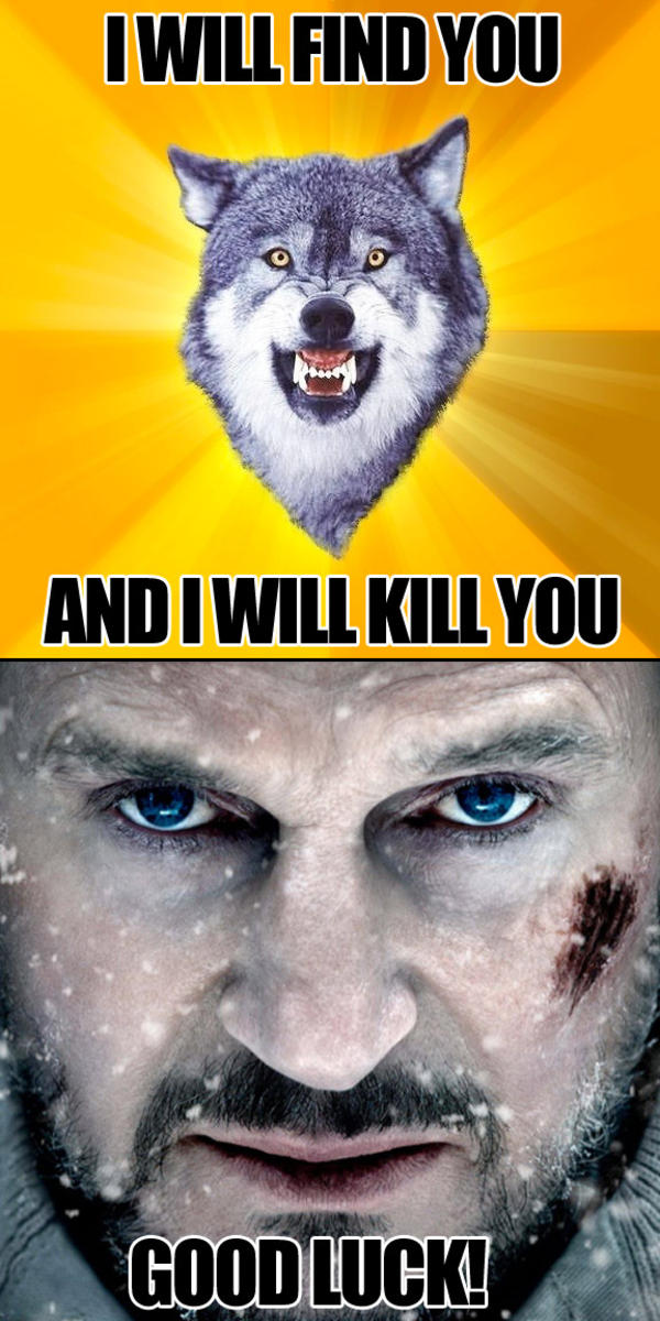 [Image - 256585] | Courage Wolf | Know Your Meme